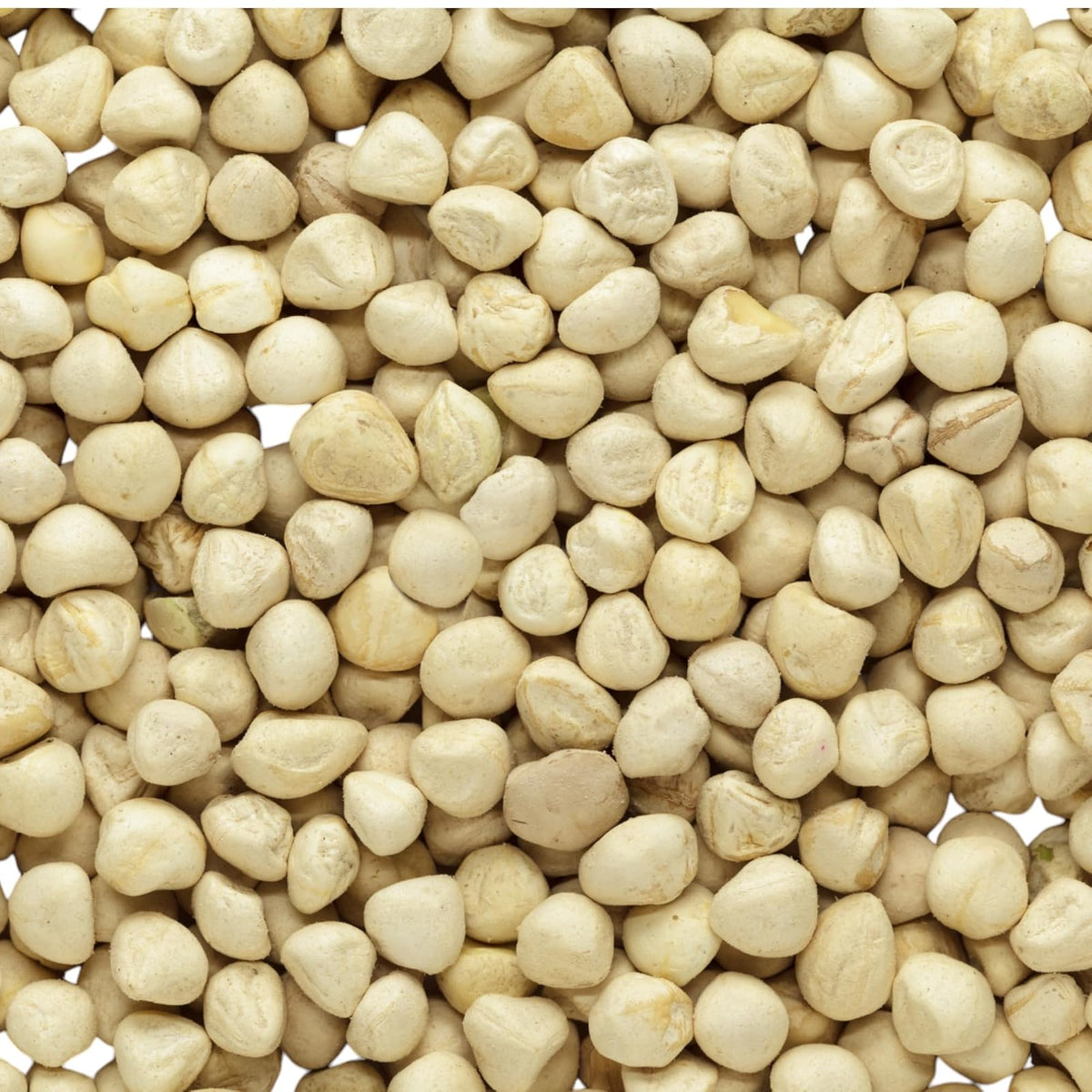 resealable bag of moringa seeds