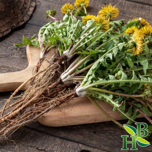 resealable pouch dandelion root powder