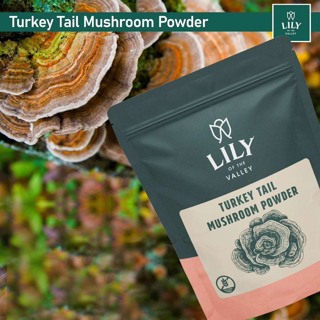 Resealable pouch for fresh mushrooms