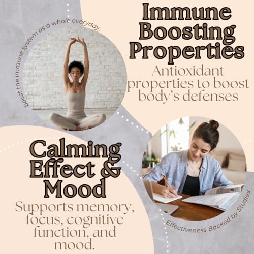 Research Labs mushroom capsules benefits