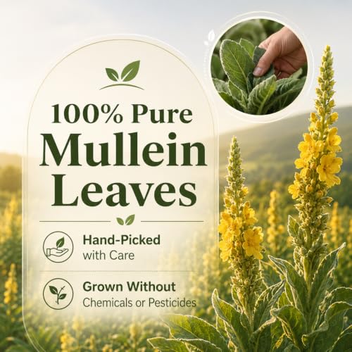 Respira Botanicals mullein tea benefits