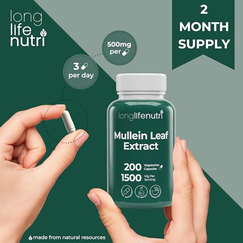 Respiratory care with mullein leaf