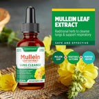 Respiratory wellness with mullein
