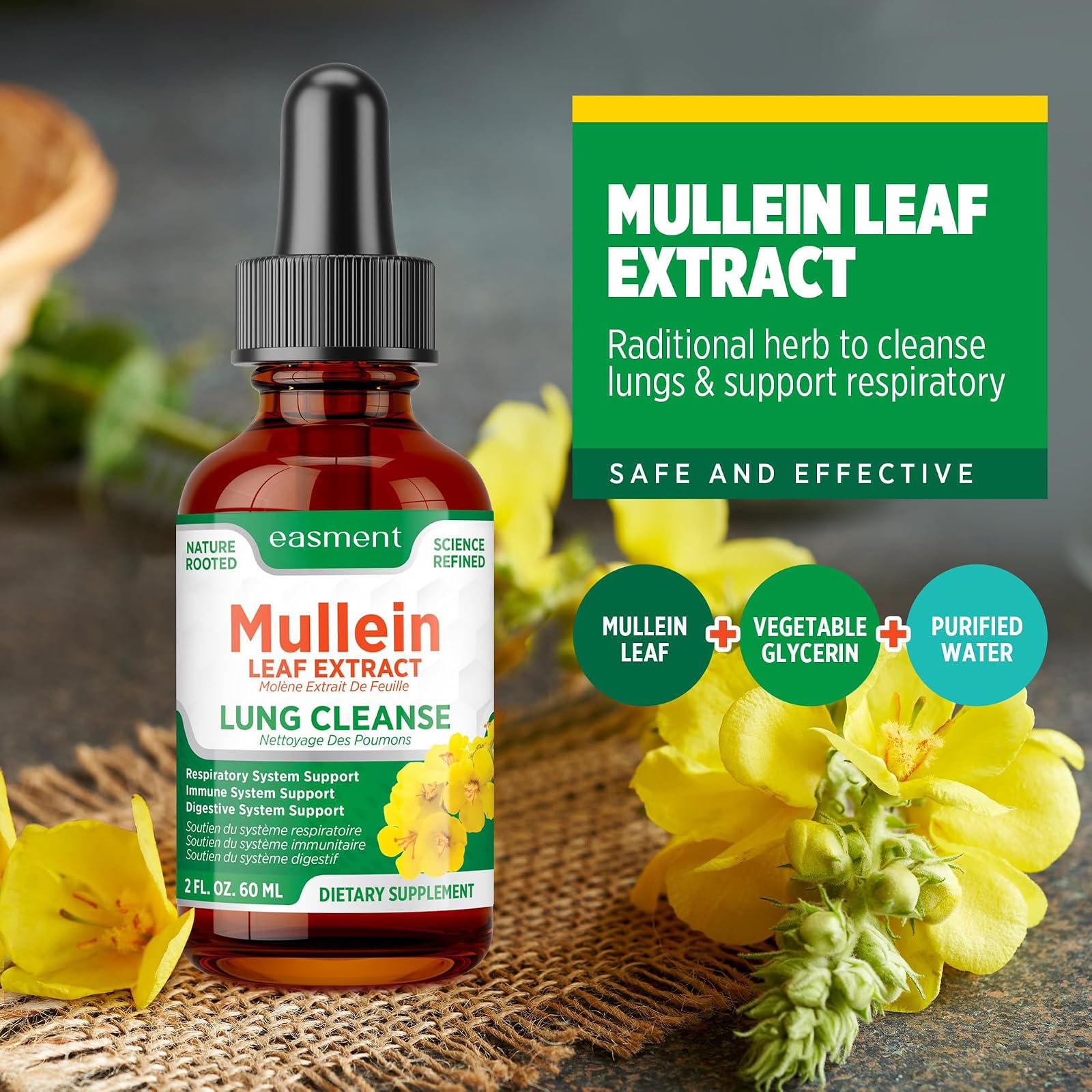 Respiratory wellness with mullein