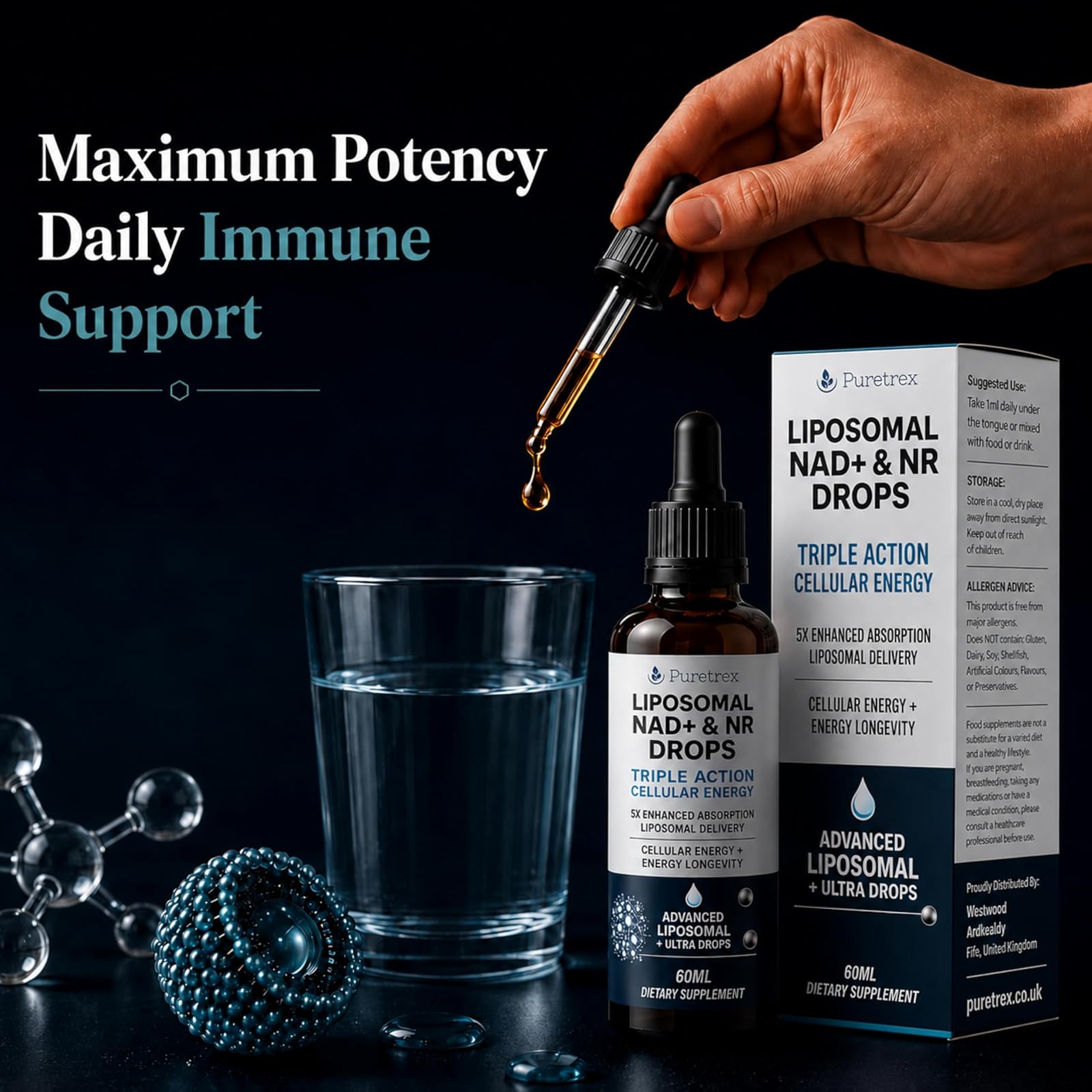 Resveratrol and NAD+ synergy