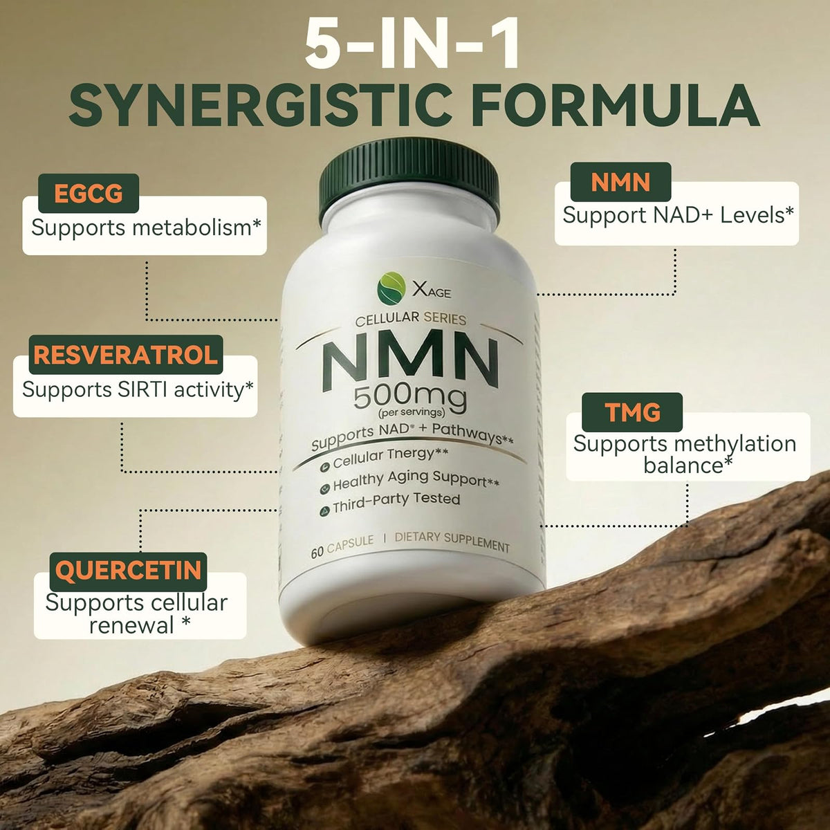 Resveratrol antioxidant capsules