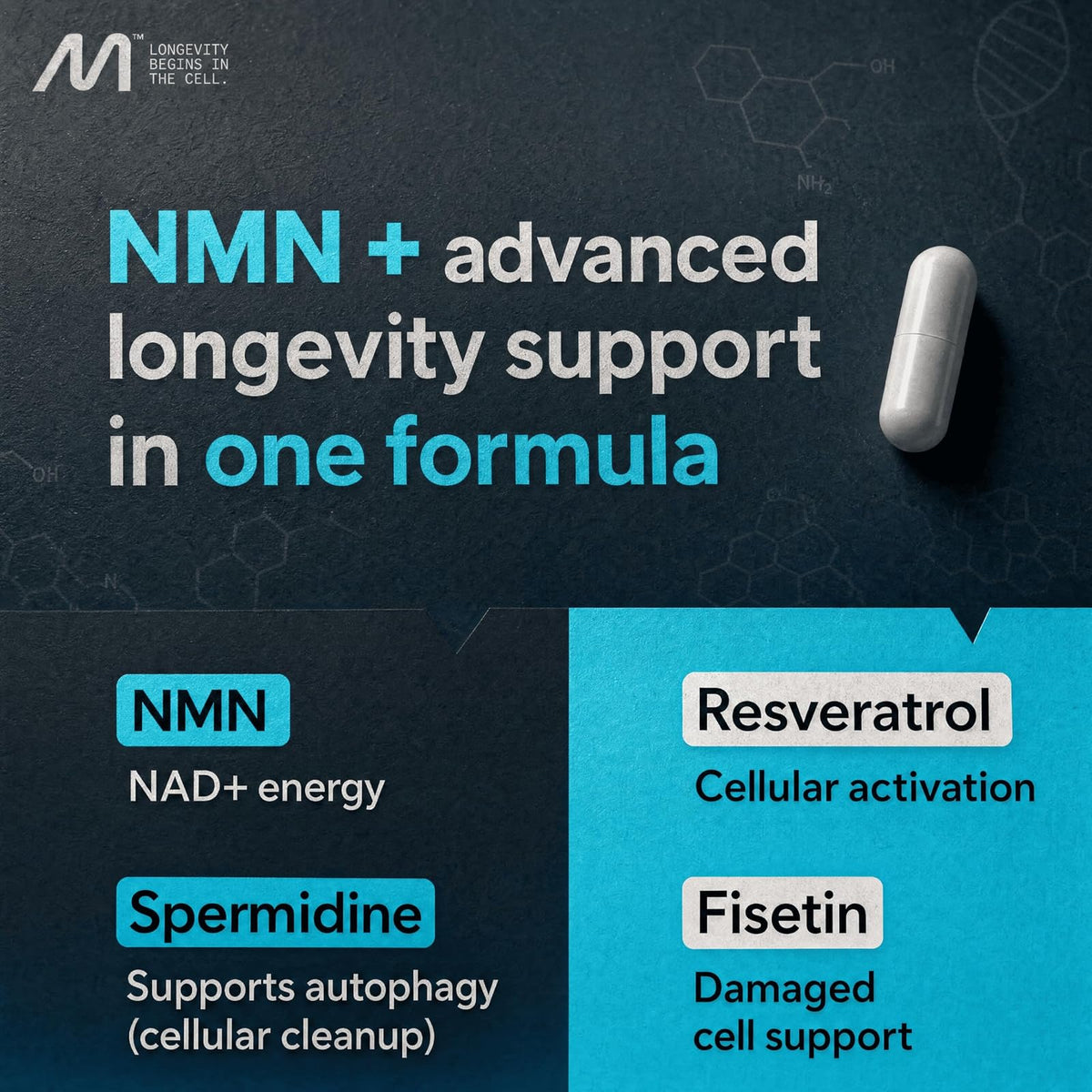 Resveratrol antioxidant support capsules