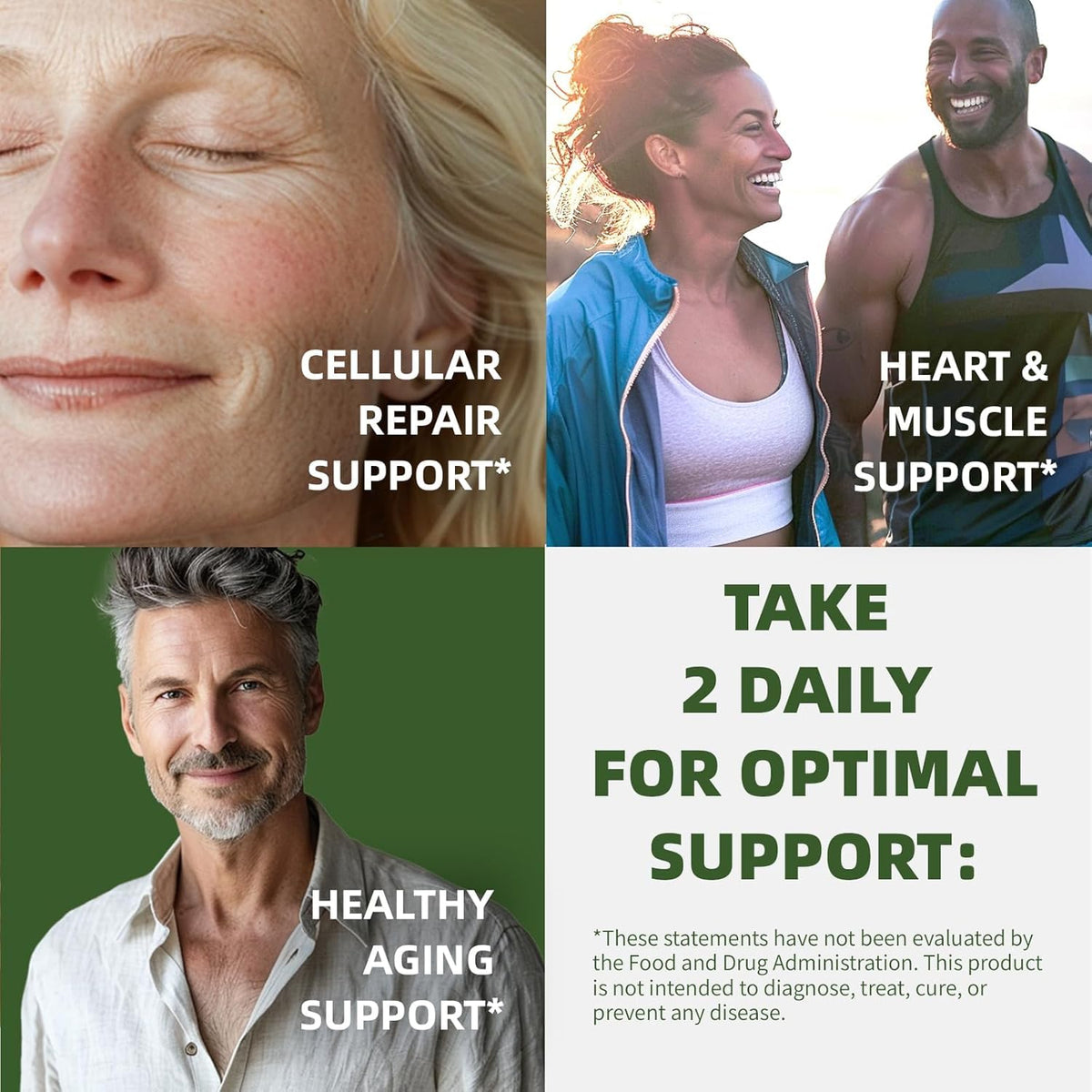 Resveratrol antioxidant support formula