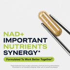Resveratrol antioxidant support formula