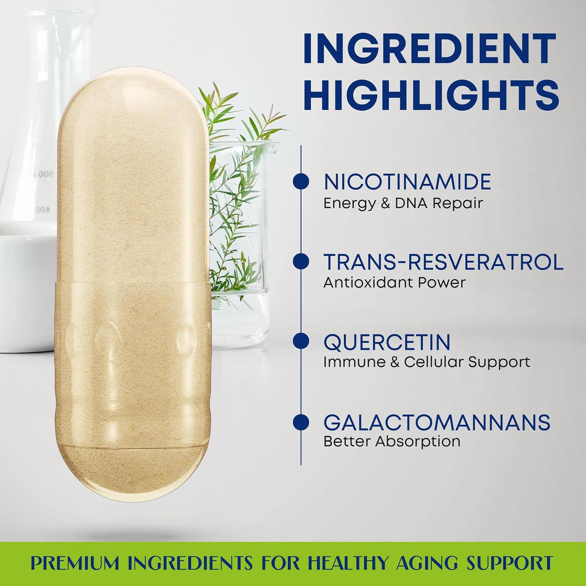 Resveratrol antioxidant support supplement