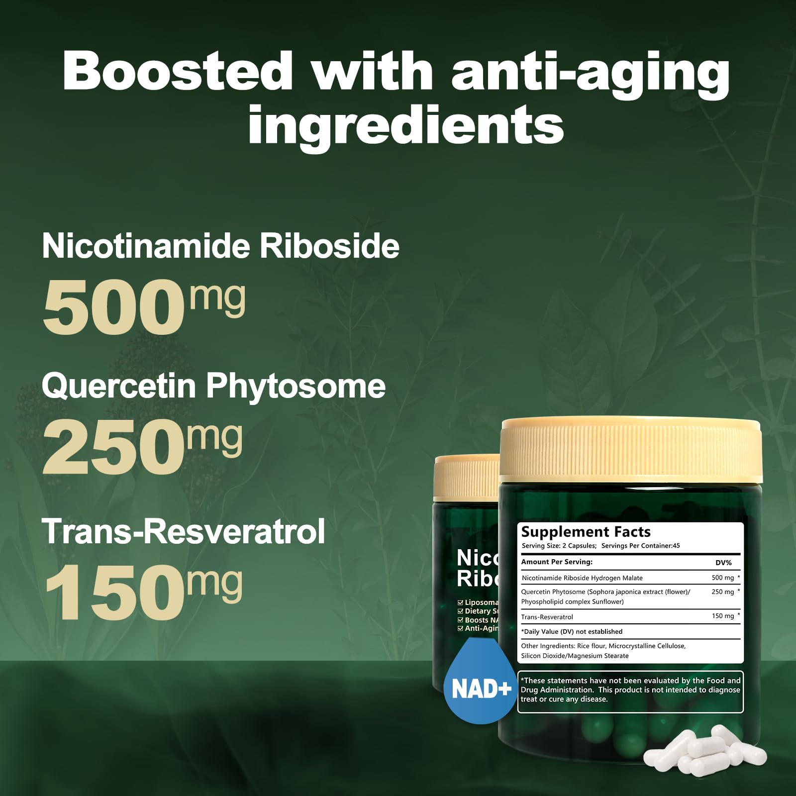 Resveratrol antioxidant support supplement