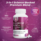 Resveratrol complex for enhanced energy levels