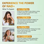 resveratrol for cellular energy