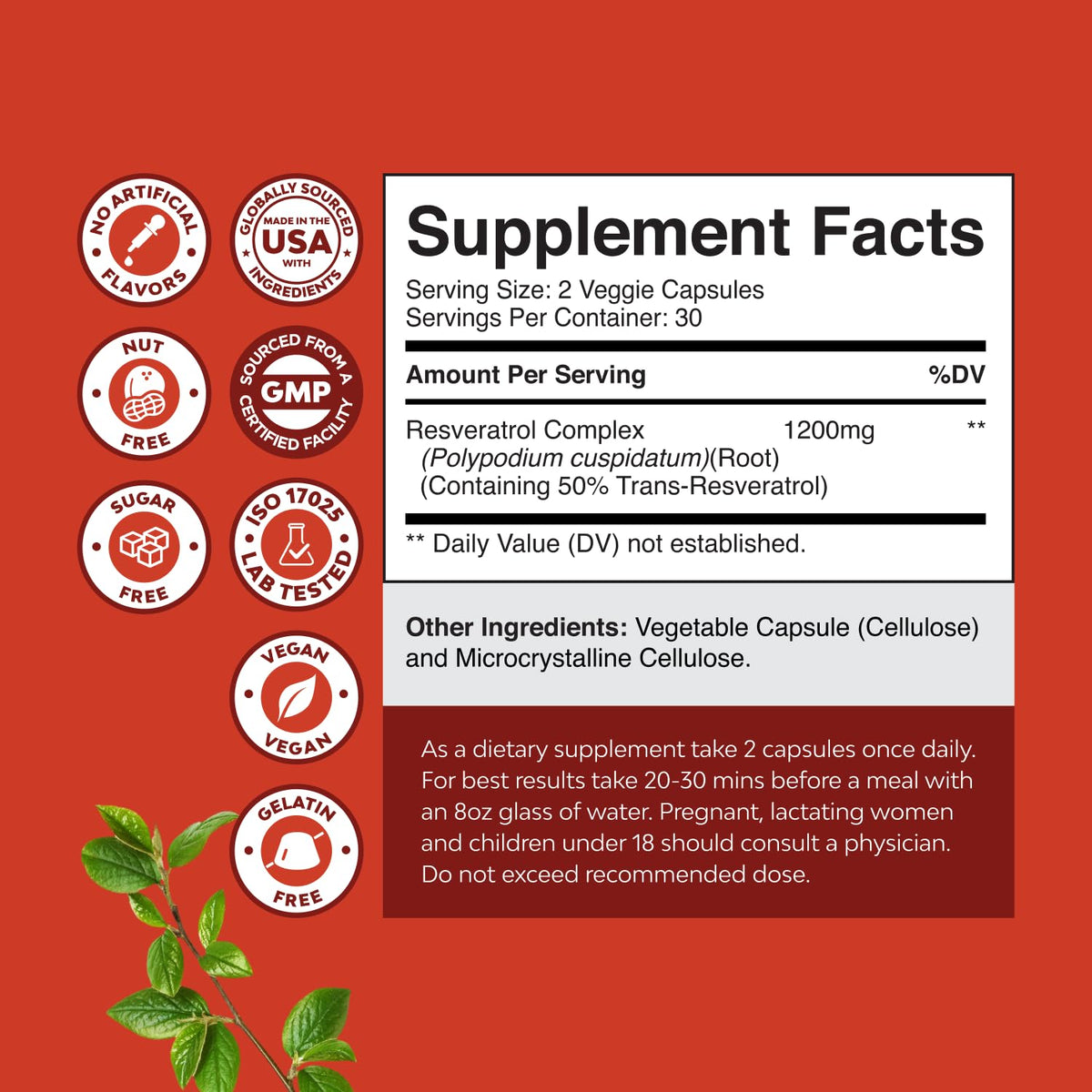 Resveratrol supplement for cellular protection