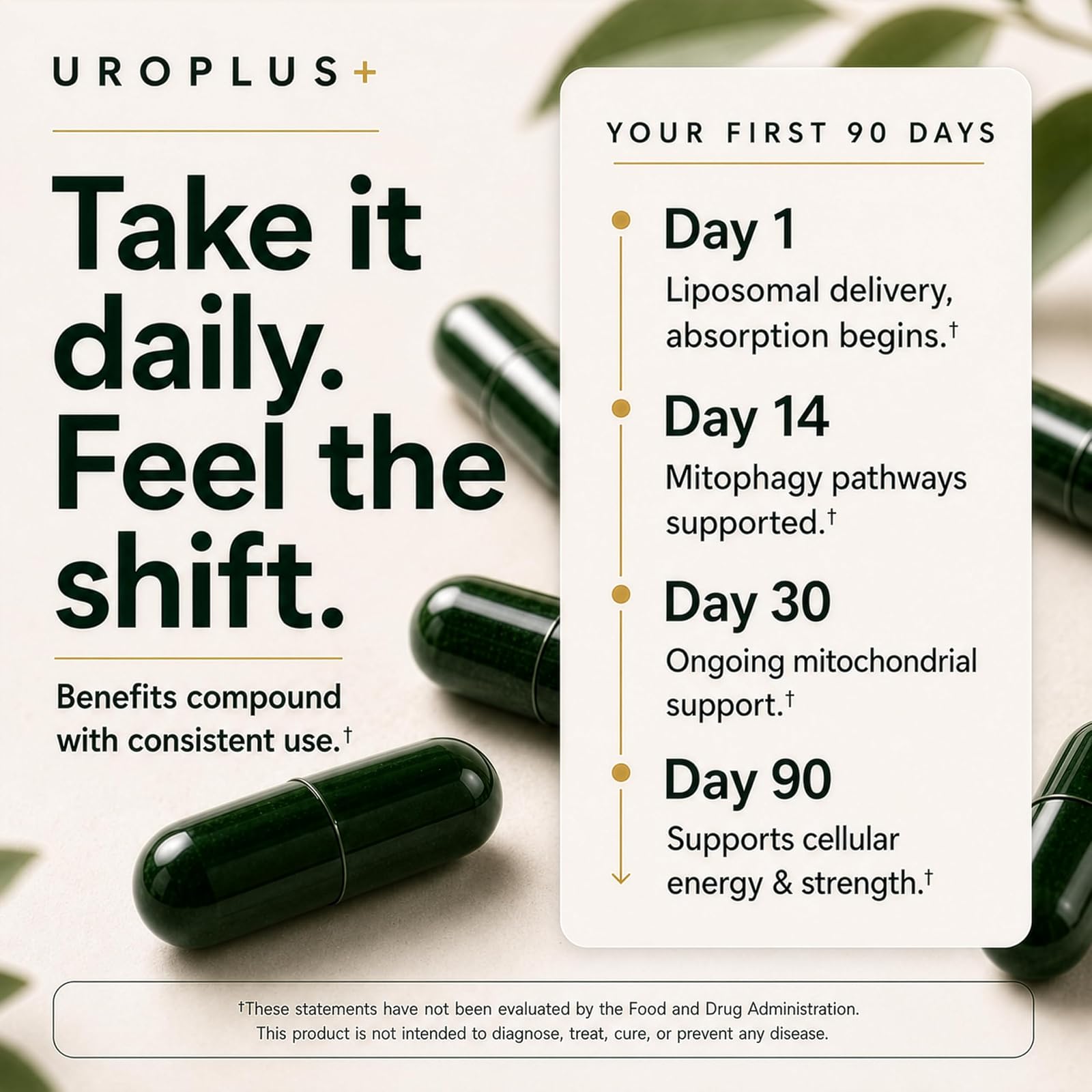 Resveratrol supplement for healthy aging