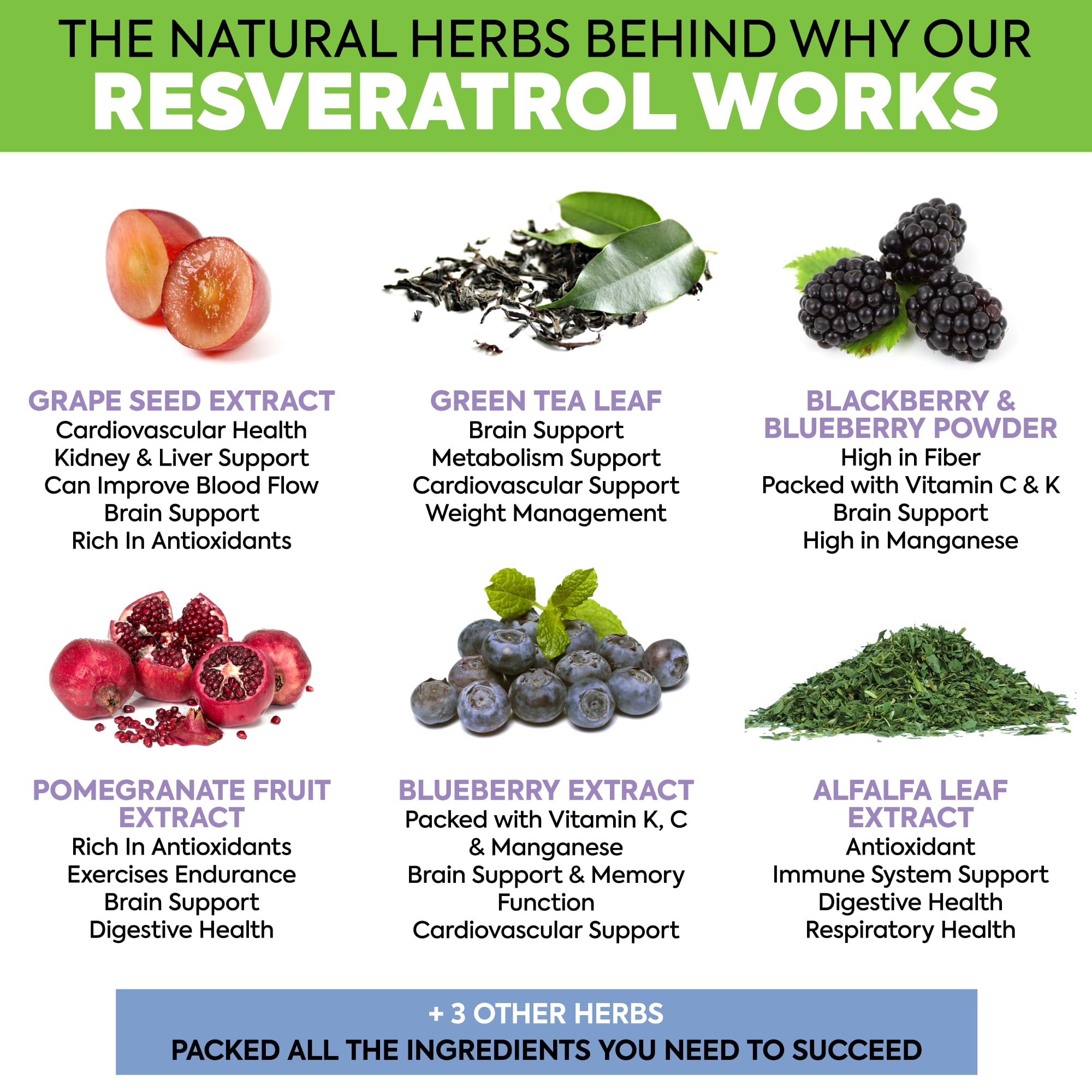 resveratrol supplement for overall health