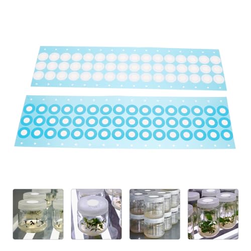 reusable mushroom culture pads