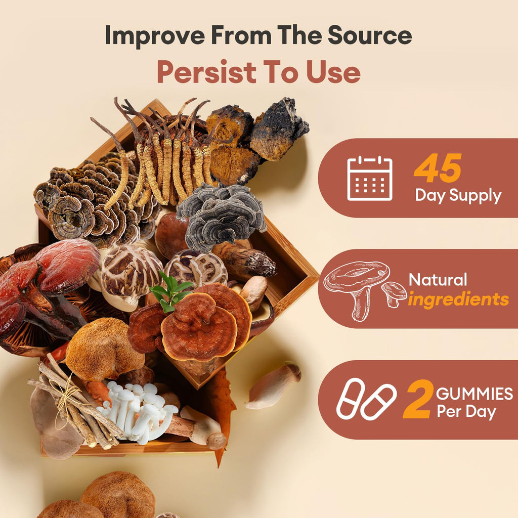 REVERB adaptogenic mushroom gummies for focus