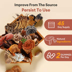 REVERB adaptogenic mushroom gummies for focus
