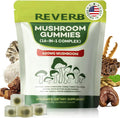 REVERB mushroom gummies for stress relief