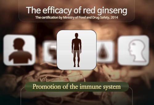 revital ginseng plus health benefits