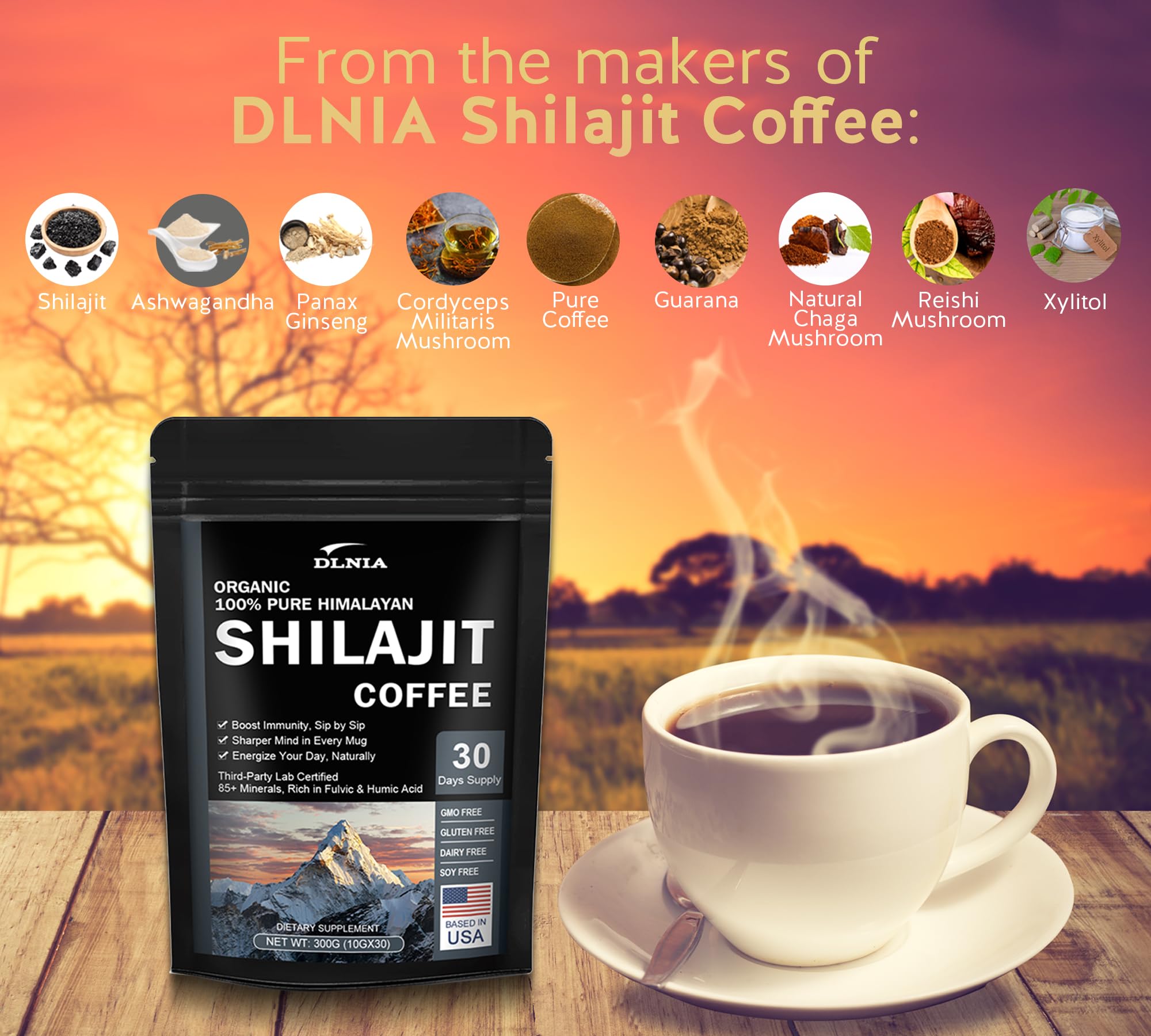 revitalize your mornings with shilajit