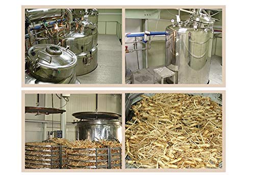 revitalizing ginseng extract for energy