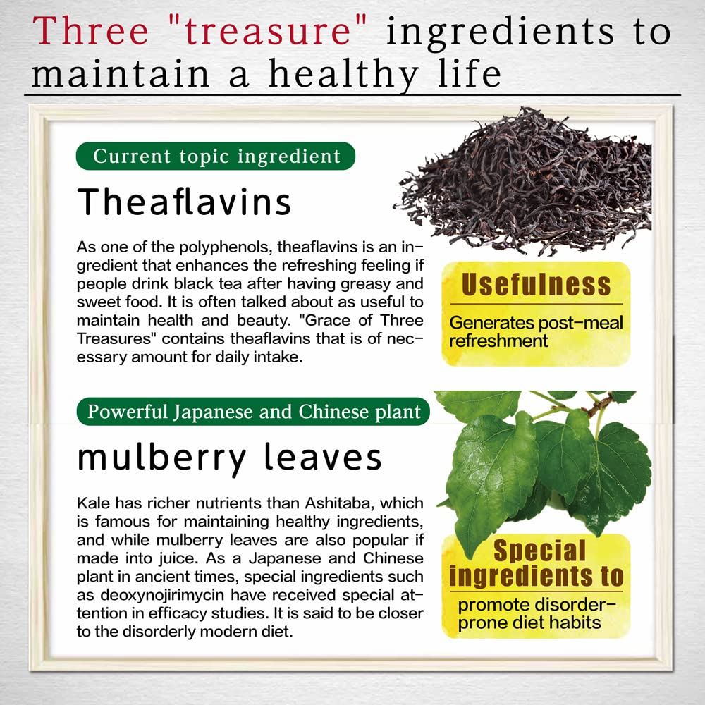 revitalizing ginseng for busy lifestyles