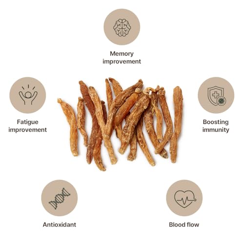 revitalizing ginseng for daily energy