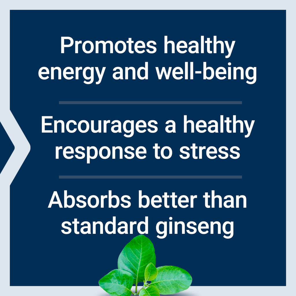 revitalizing ginseng for daily use