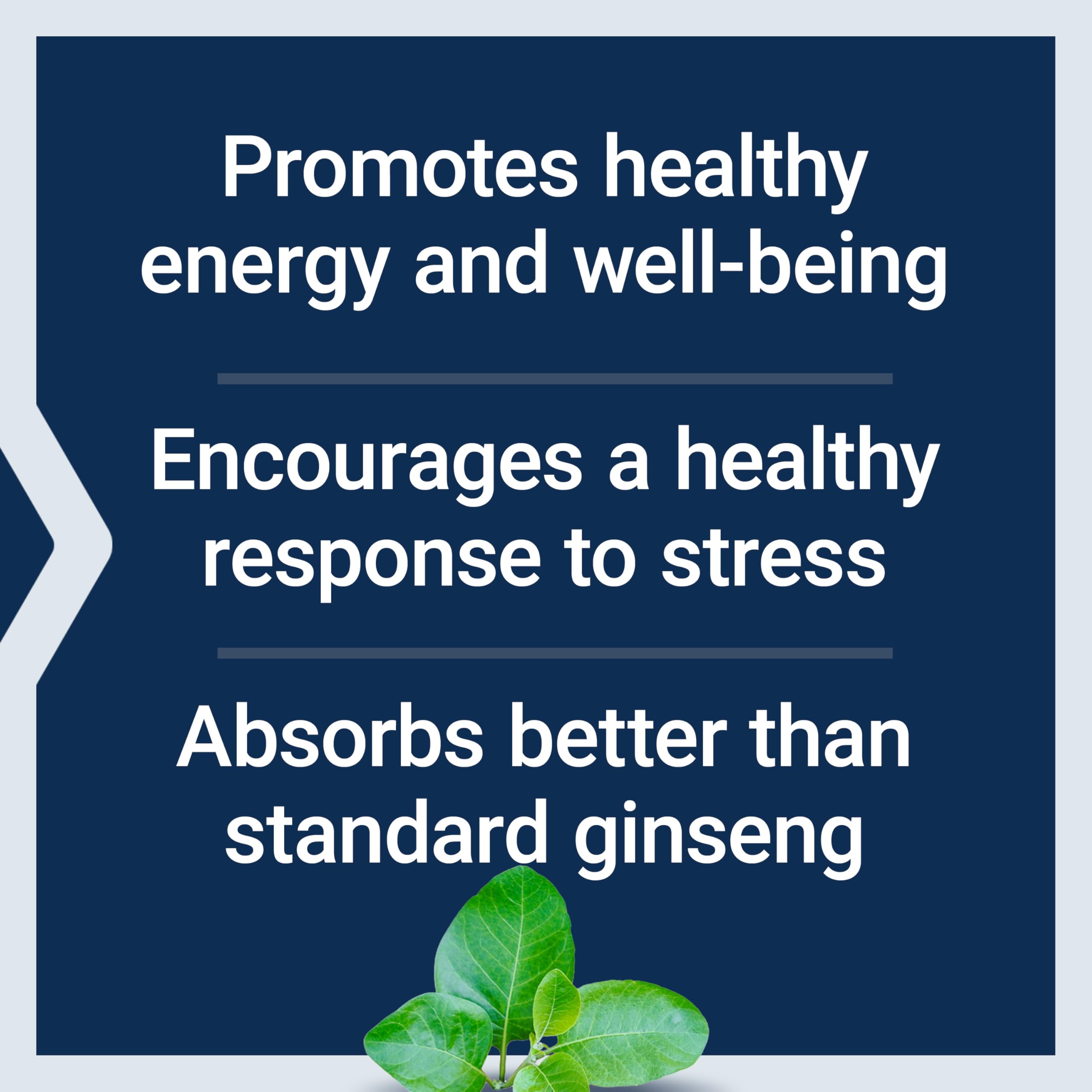 revitalizing ginseng for daily use