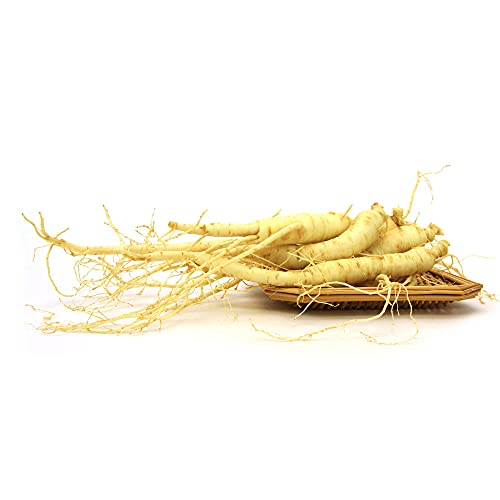 revitalizing ginseng for overall health
