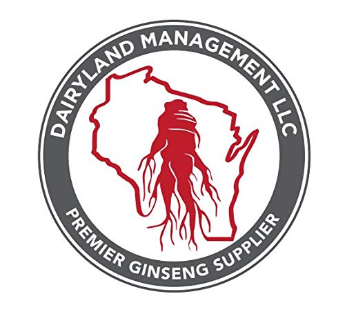 revitalizing ginseng for wellness