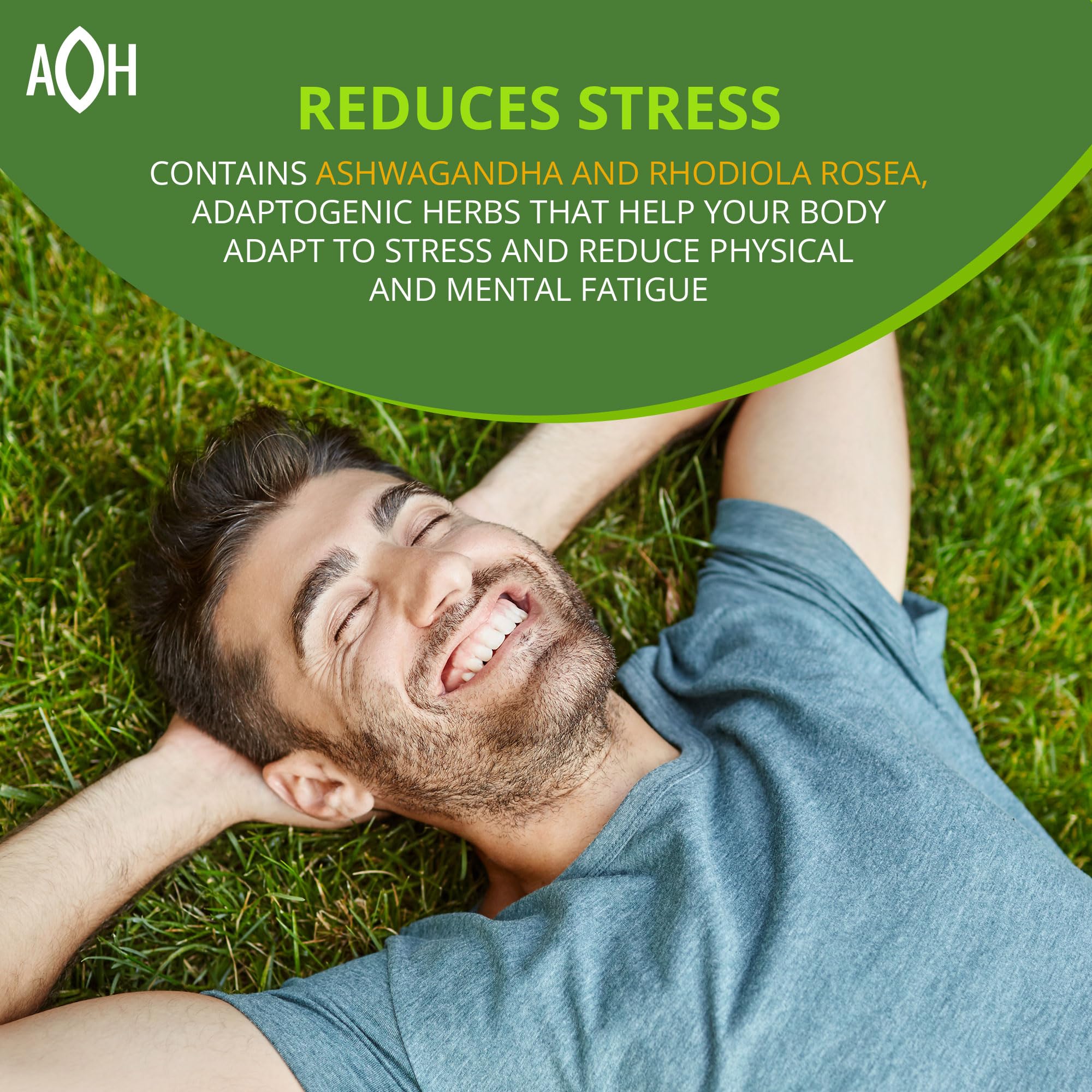 revitalizing ginseng for wellness