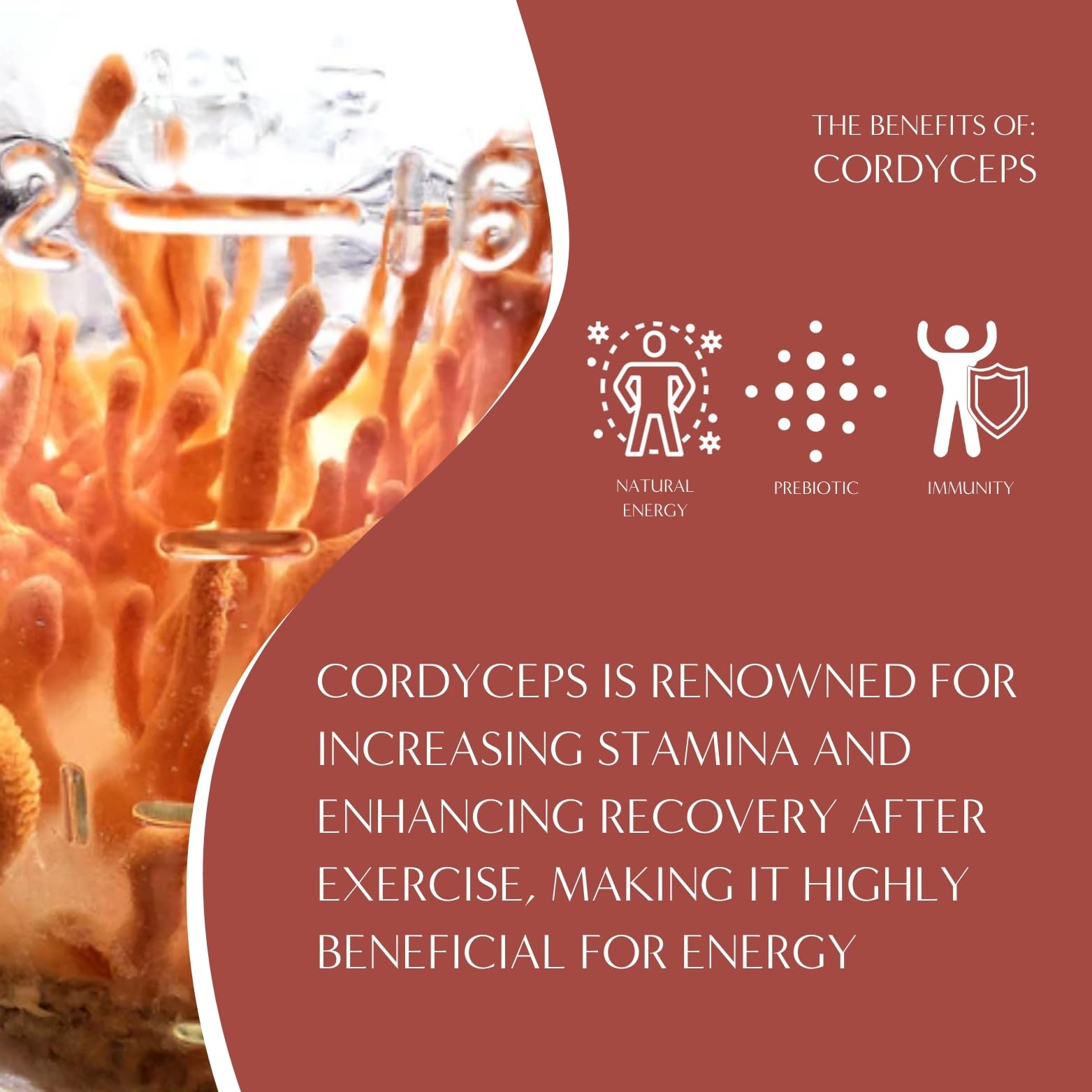 Revitalizing herbal detox tea option