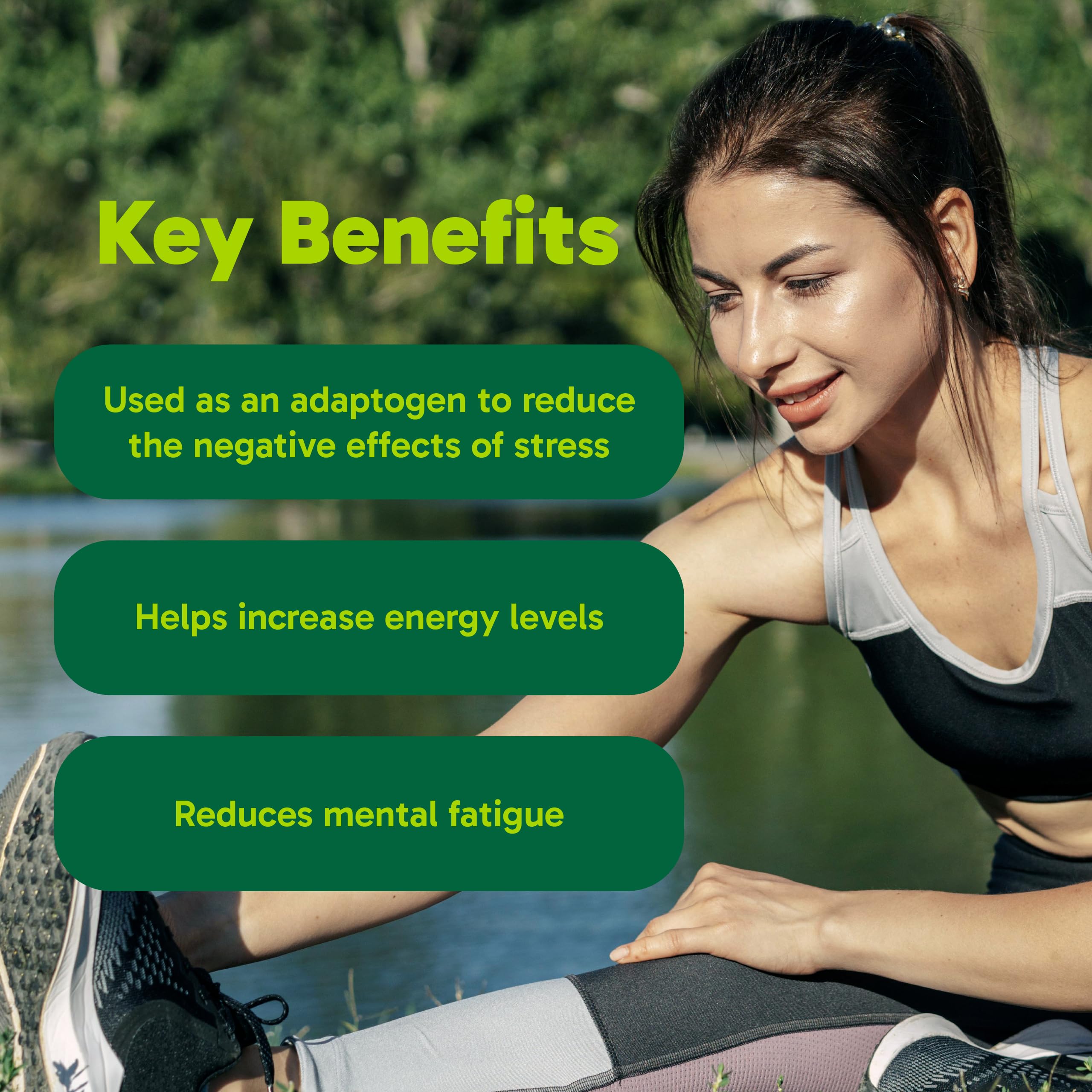 revitalizing panax ginseng supplement