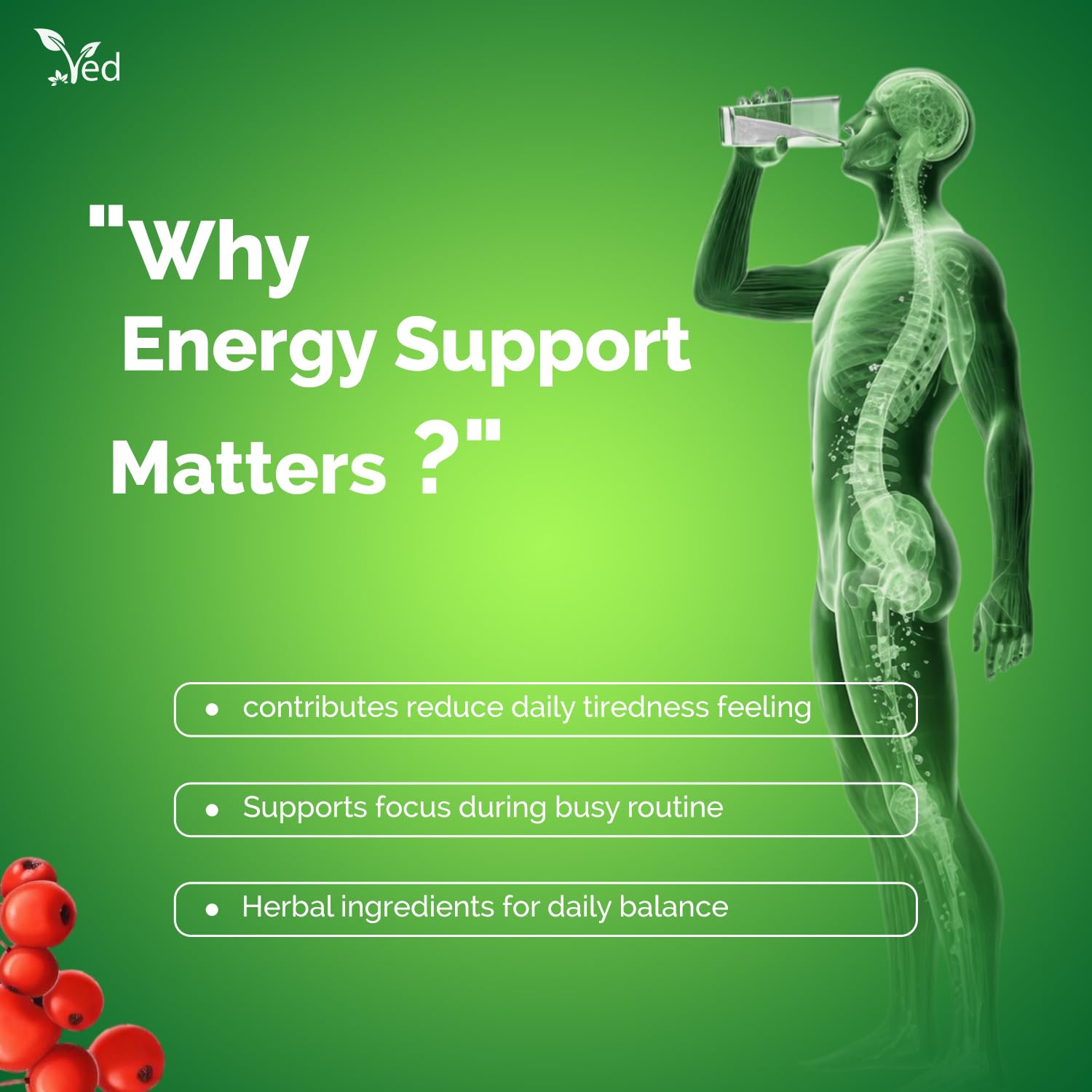 revitalizing wellness with ginseng