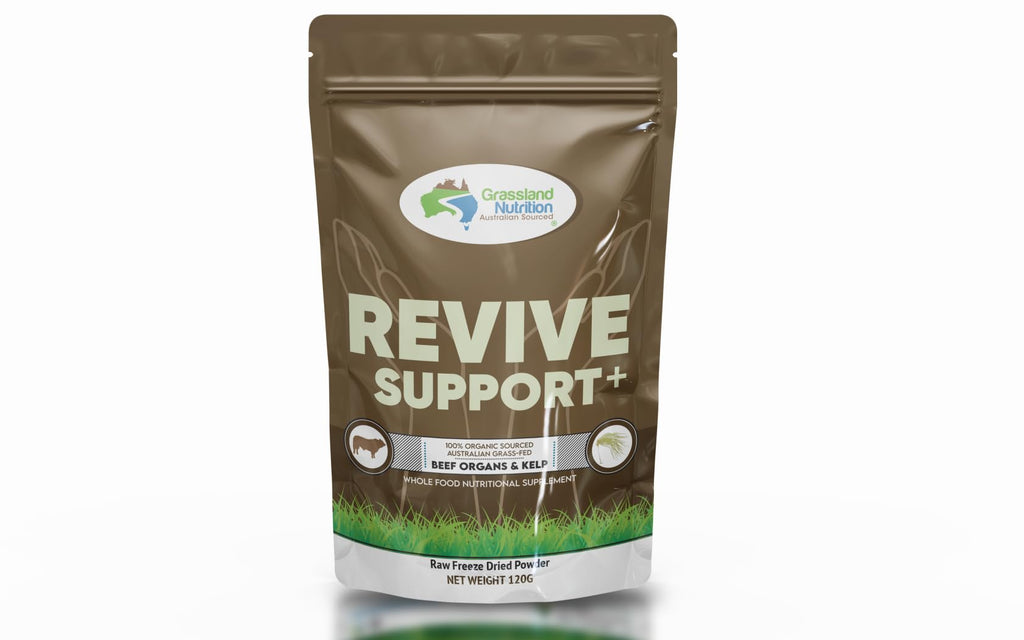 Revive Support+ blended vitamin powder