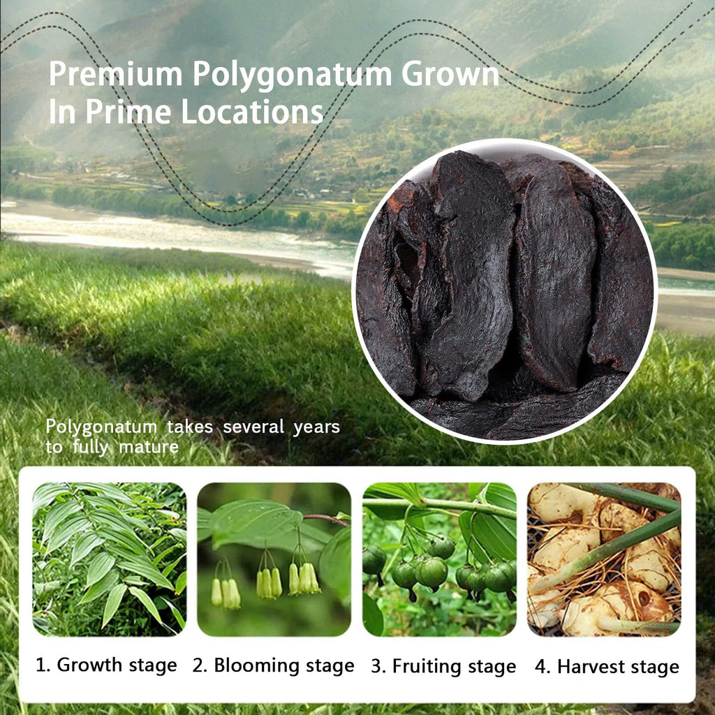 Rhizoma Polygonatum HuangJing benefits