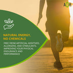 rhodiola adaptogen for daily wellness