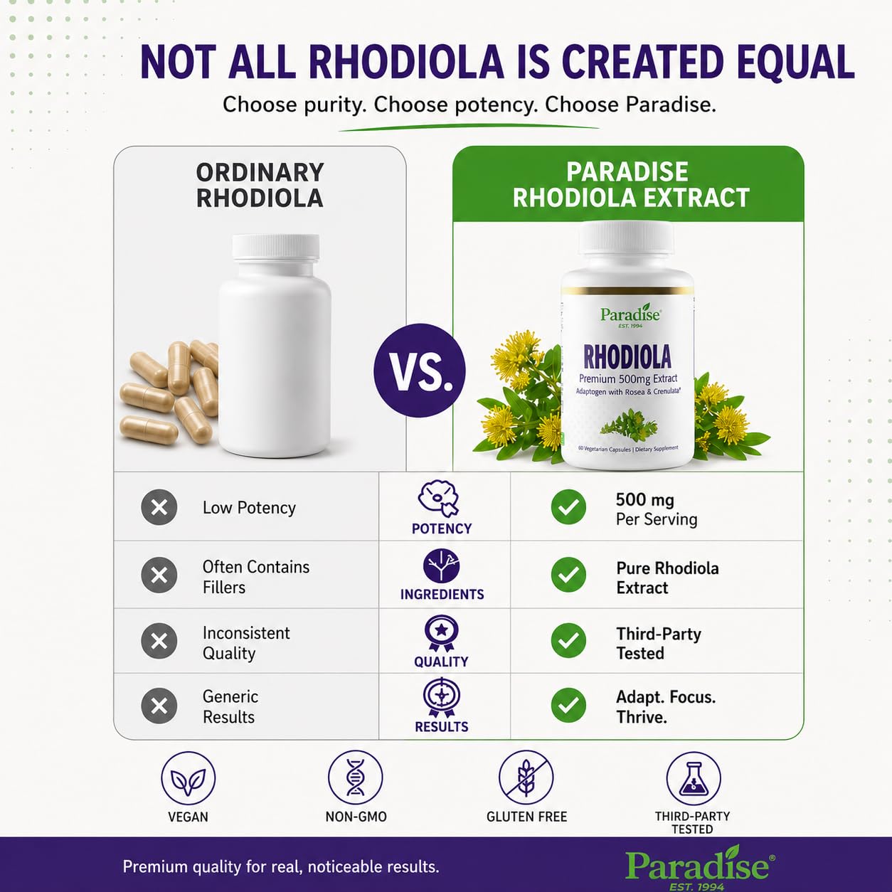 Rhodiola extract for enhanced focus