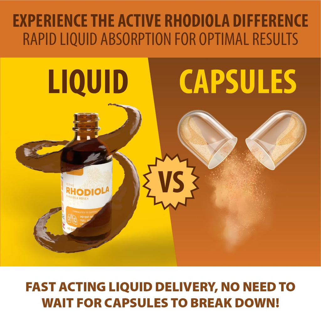 Rhodiola extract for improved focus