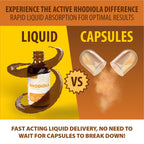 Rhodiola extract for improved focus