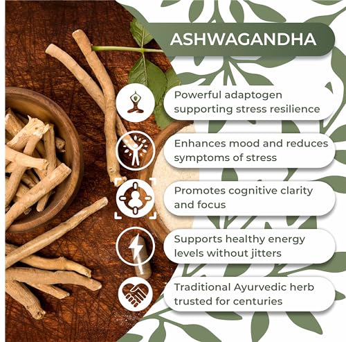Rhodiola for energy and focus
