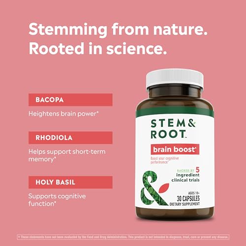 Rhodiola for improved brain power