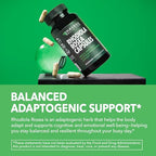 rhodiola for mental clarity