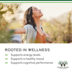 rhodiola rosea capsules for daily vitality