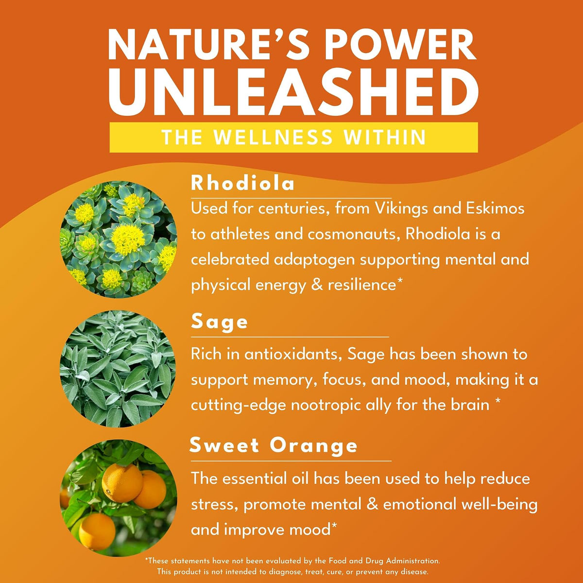 Rhodiola Rosea capsules for enhanced endurance