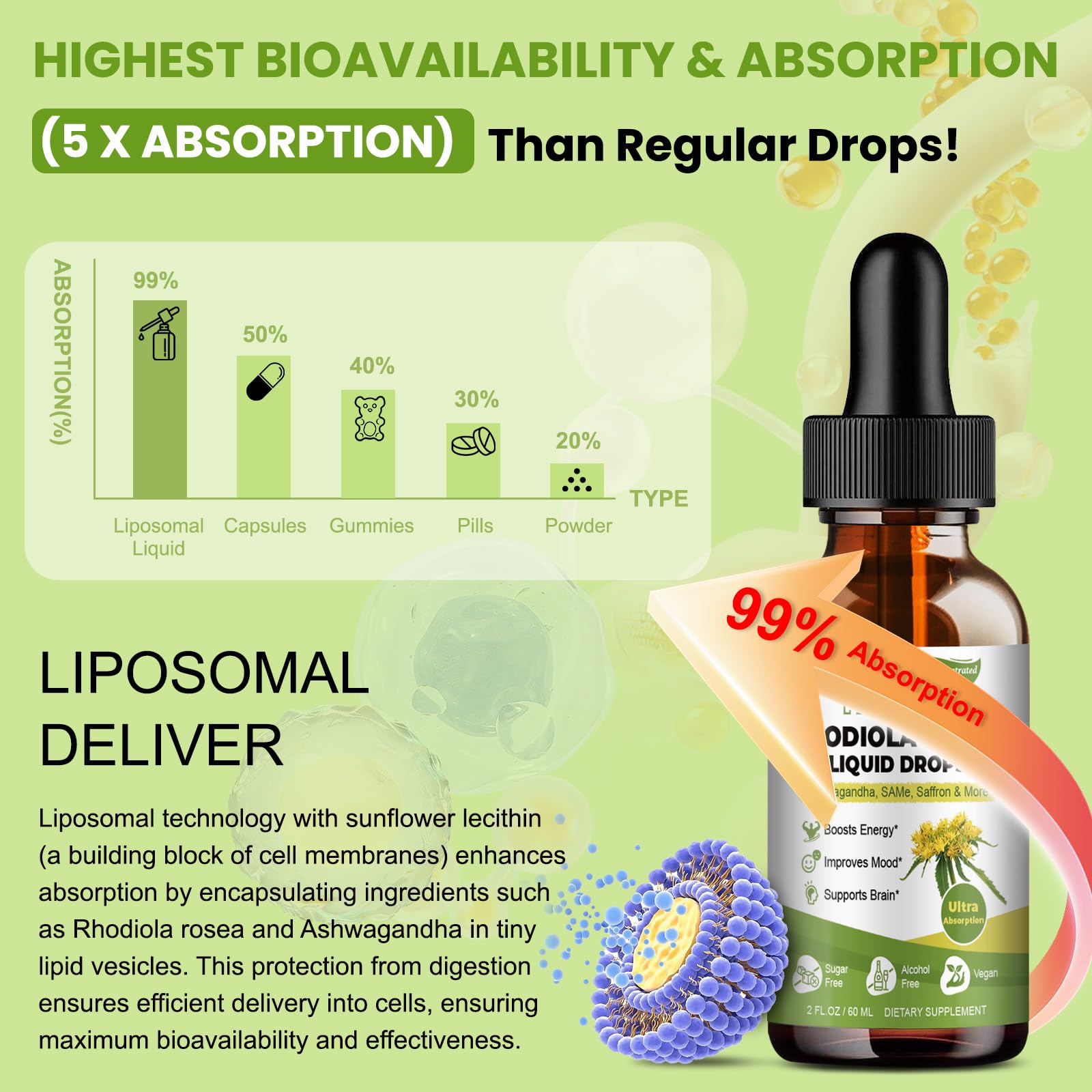 Rhodiola Rosea for energy and vitality
