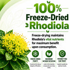 rhodiola rosea for enhanced focus